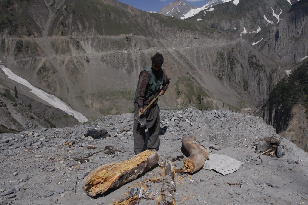 In Photos: Who Are the Bakarwals?