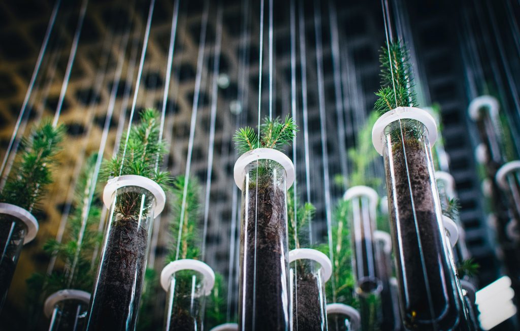 In This Era of Billionaires and Unequal Funding, Where Is Research ...