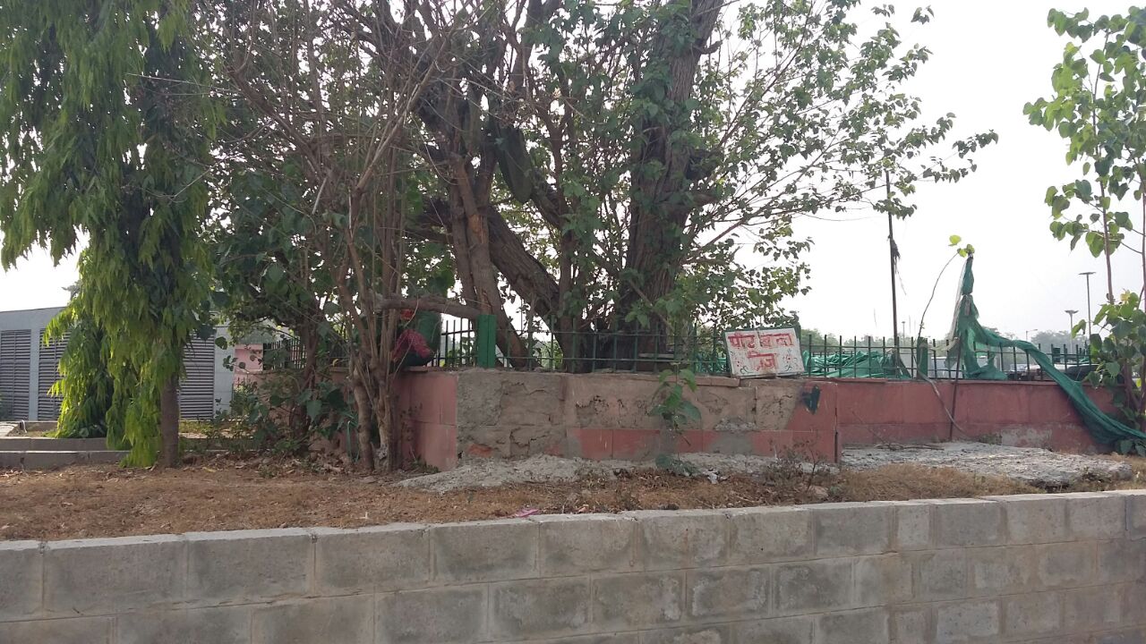 Netaji's Statue and the Submerged and Emergent Lives of Delhi’s Subhash ...