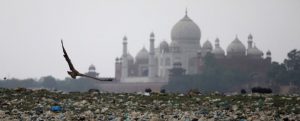 Plan Proposed to Battle Pollution Staining the Taj Mahal Yellow and ...