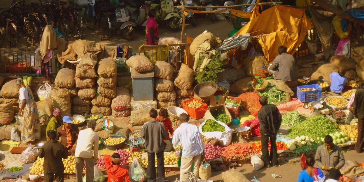 Interview | 'India Needs Healthy Agriculture, Environment and Wealthy ...