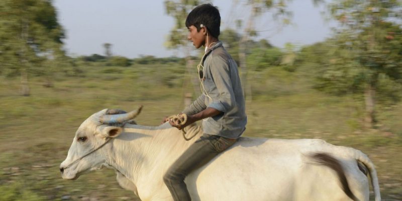 Decades After Denotification, Pardhi Tribe Struggles to Shrug Off ...