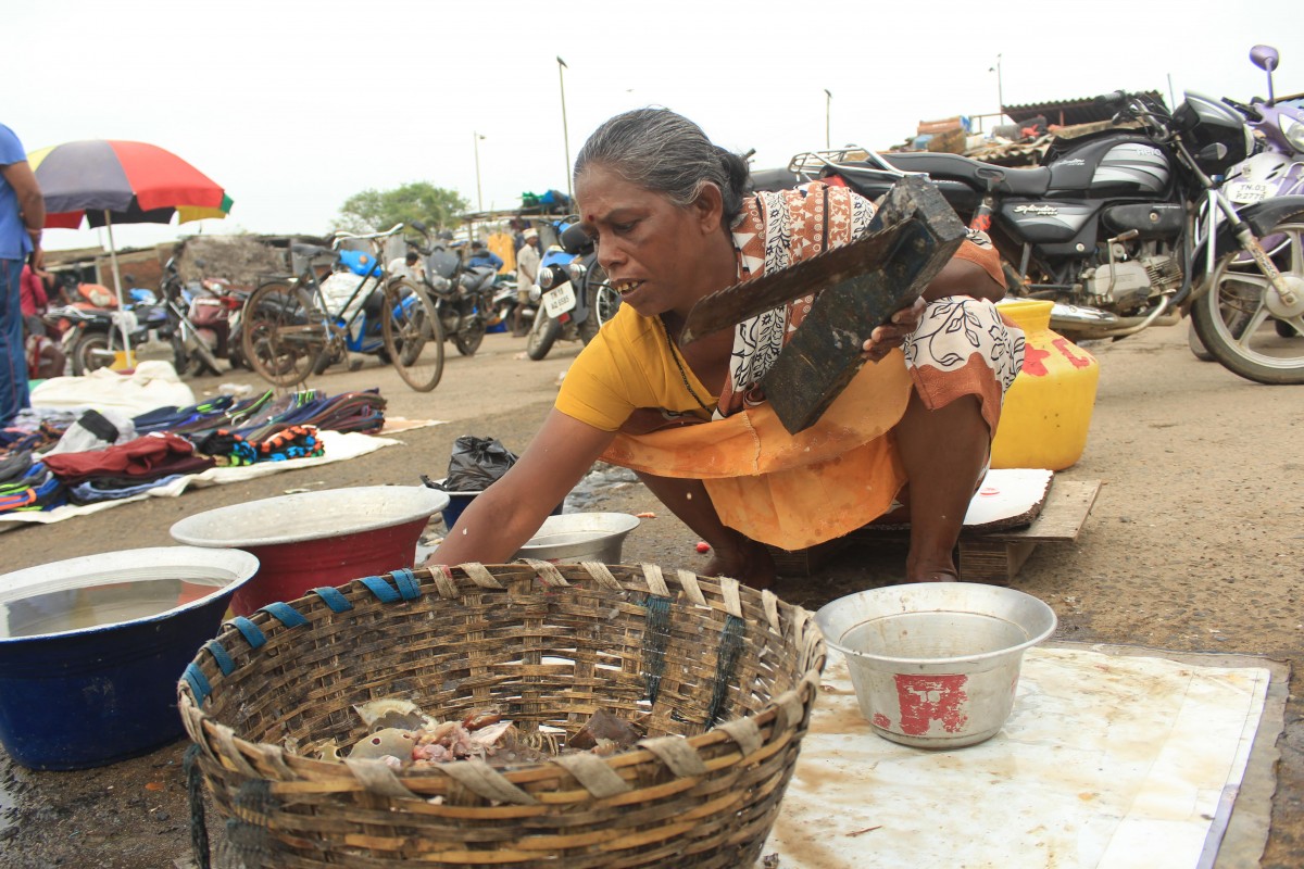 For Kasimedu's Women, Selling Fish Is More Than Just a Livelihood