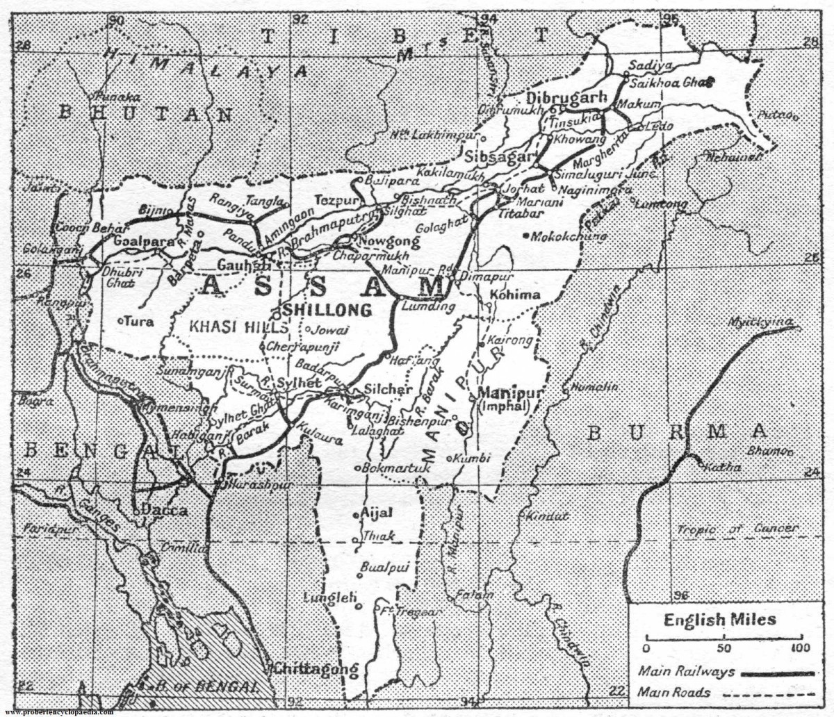 The Economic Basis of Assam's Linguistic Politics and Anti-Immigrant ...
