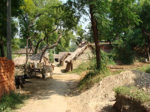 The Economic Philosophy of a Self-Sufficient Village in a Globalising World