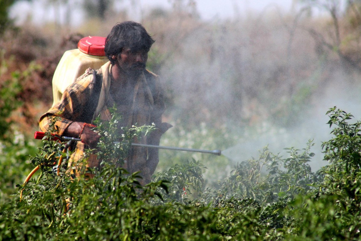 Scientists Develop Gel That Could Protect Farmers From Toxic Pesticides ...