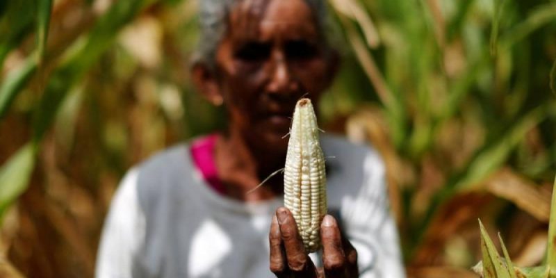 Hunger and Obesity on the Rise in Latin America for Third Year in a Row