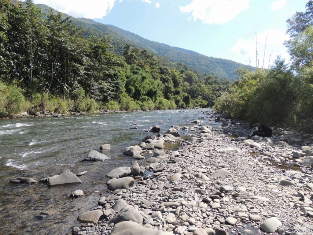 An Experimental Eco-Tourist in Nagaland