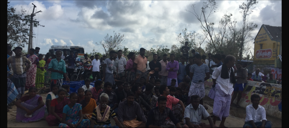 Ground Report: In the Aftermath of Cyclone Gaja, the Anger - The Wire