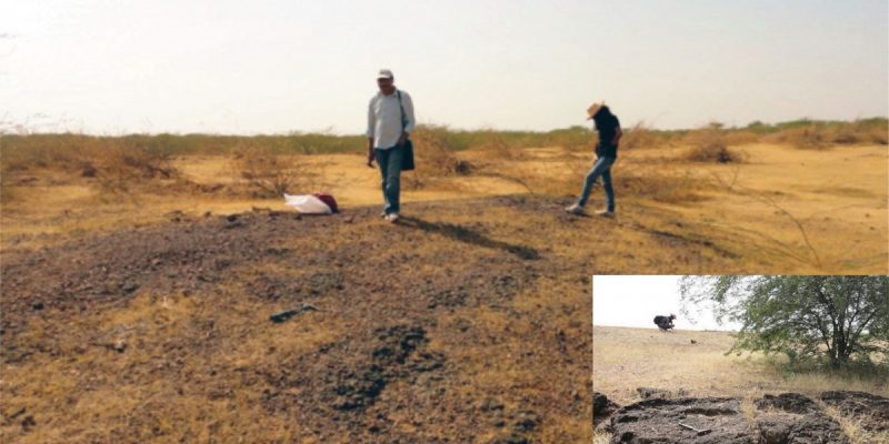 Indian Scientists Unearth First Evidence of Ape Presence South of Himalaya