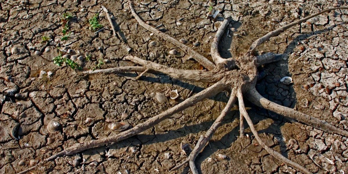 A Prolonged Drought is Destroying Lives and Livelihoods in Pakistan ...