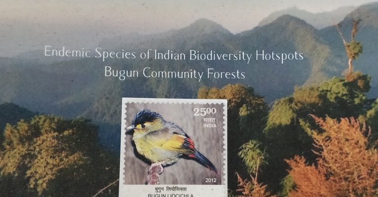 From a New Bird to a Community Reserve, Arunachal's Bugun Tribe Sets ...