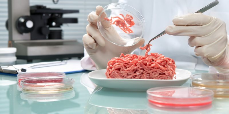 Lab-Grown Meat Could Lead to the Next Agricultural Revolution