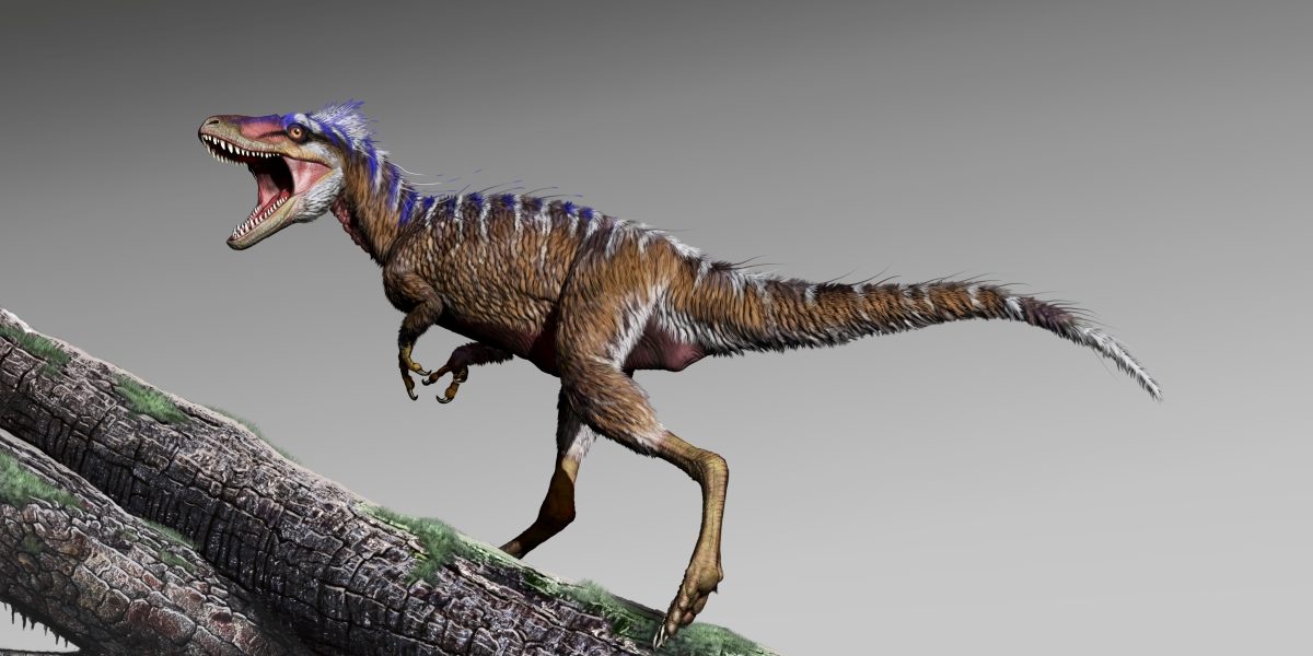 Colossal T. Rex's Evolutionary Great Uncle Was a Pint-Sized Predator ...