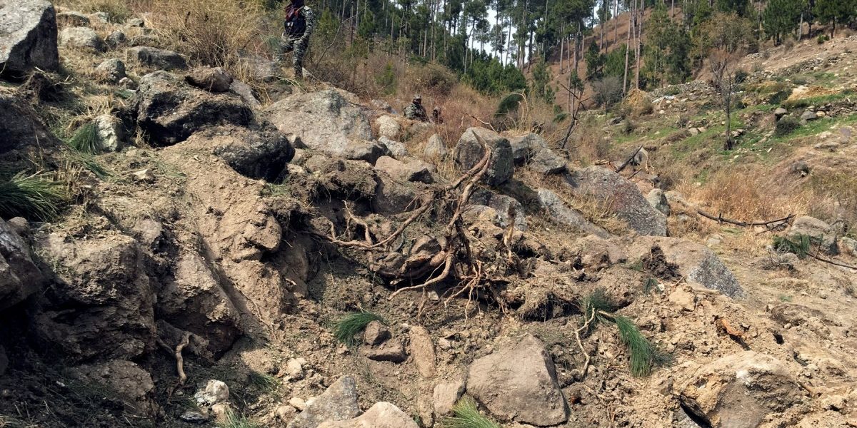 Missing Wood for Trees: Pak Plans Complaint Against India for 'Forest ...