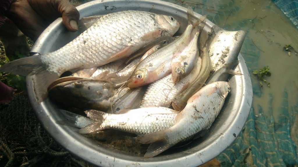 The Wire: The Wire News India, Latest News,News from India, Politics ...