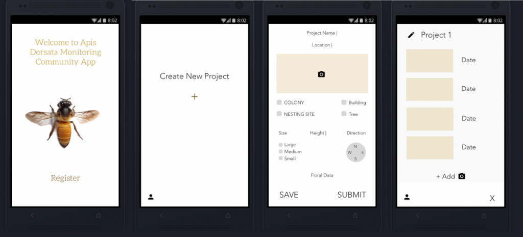 We Need to Save the Bees – but Where Do We Begin?