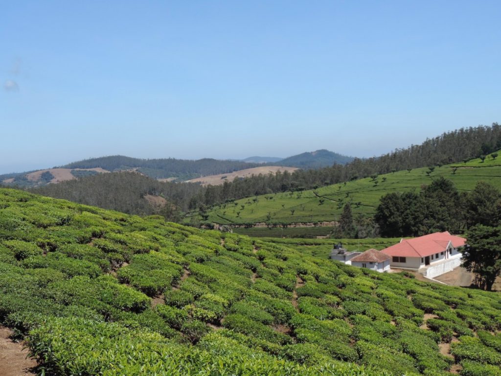 How British Sentimentality Shaped a Corner of the Nilgiris – The Wire ...