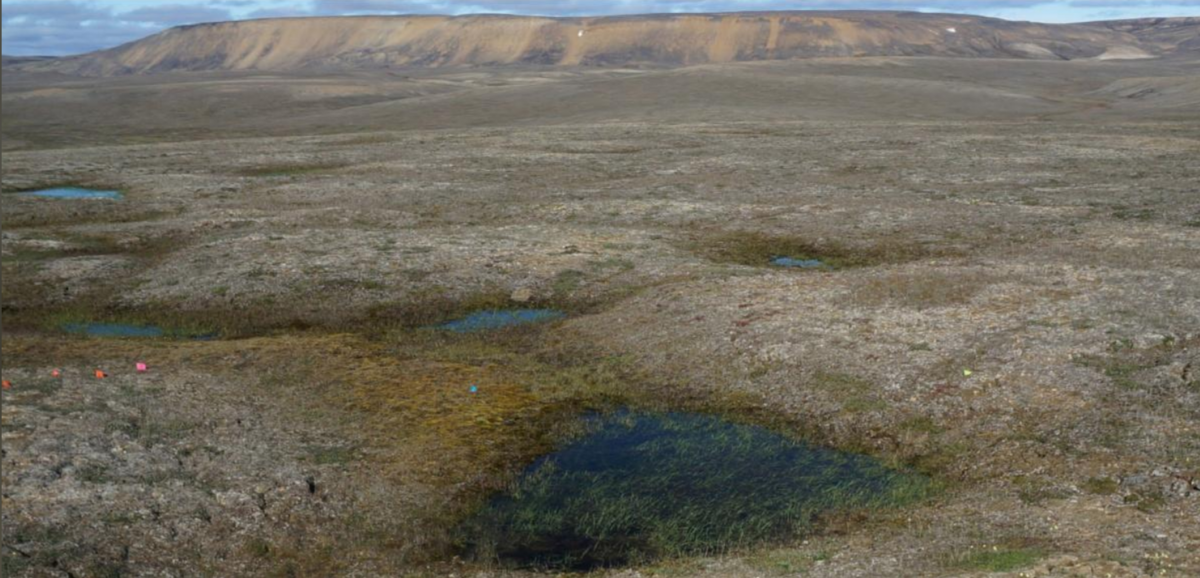 Scientists Amazed as Canadian Permafrost Thaws 70 Years Early - The Wire
