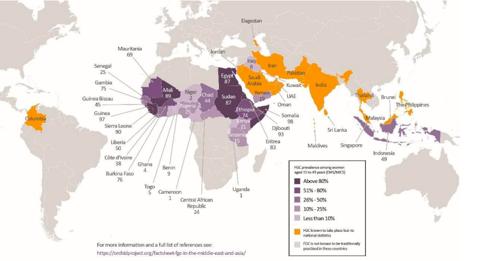Female Genital Cutting: A Thousand Cuts That Start With One