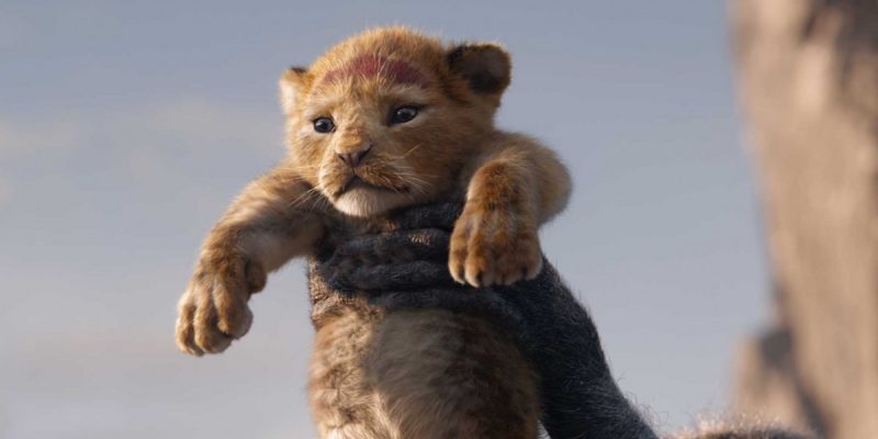 Watching 'The Lion King' as a Cat Biologist