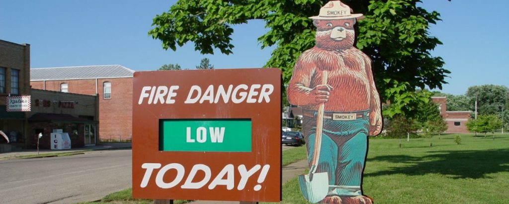 Smokey Bear Remains a Symbol of What a Powerful Public-Service Ad ...
