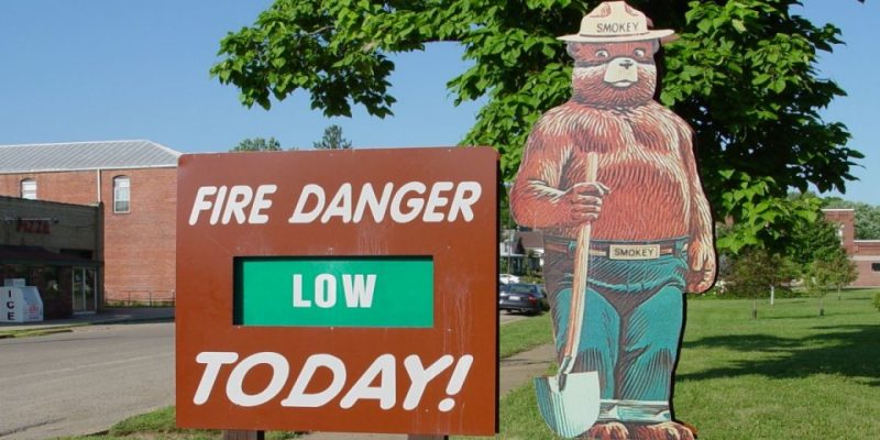 Smokey Bear Remains a Symbol of What a Powerful Public-Service Ad ...