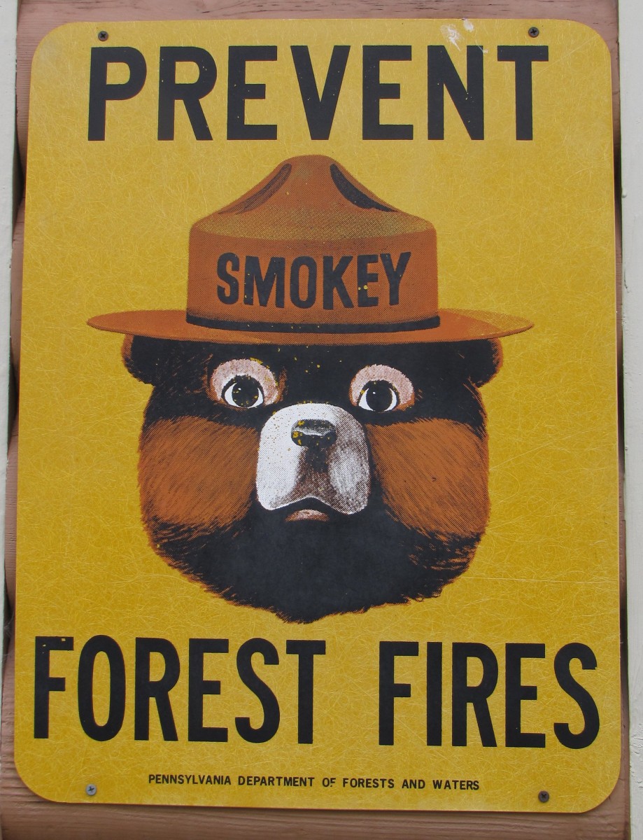 Smokey Bear Remains a Symbol of What a Powerful Public-Service Ad ...