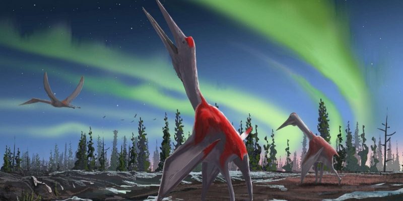Enormous Flying Dinosaur Species Discovered in Canada