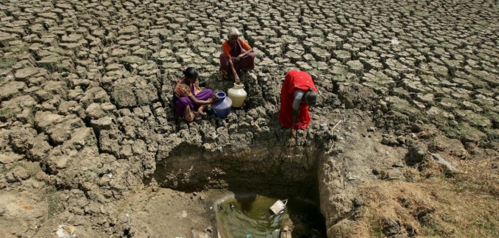 Is Survivor Bias Messing With Our Impression of South India’s ...