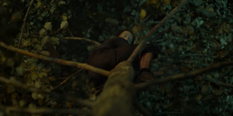 'The Fall': Unsettling Short Film Captures Our Fears About an Uncertain ...