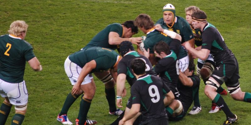 Springbok Represents the Persistence of Apartheid Structures in South ...