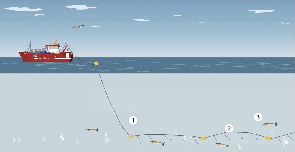 Can a Village Specialised in Shark Fishing Have Lessons for India’s ...