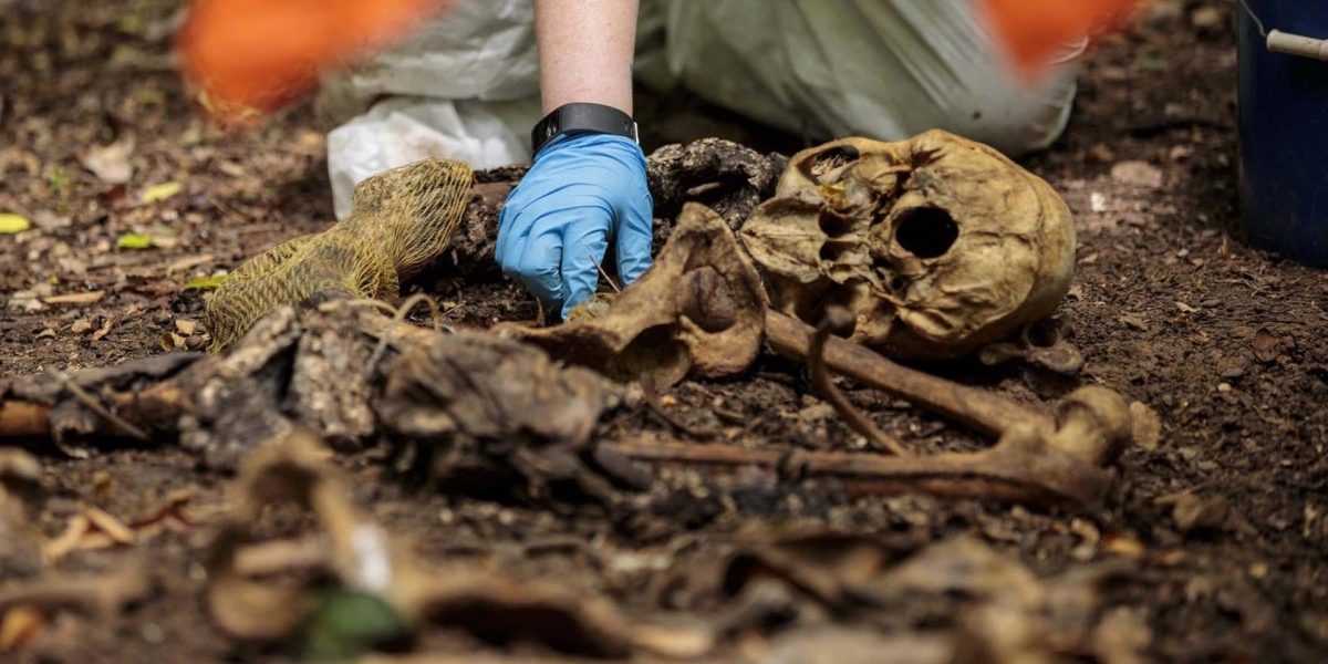 The Science of How Human Bodies Decay - The Wire