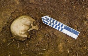 The Science of How Human Bodies Decay