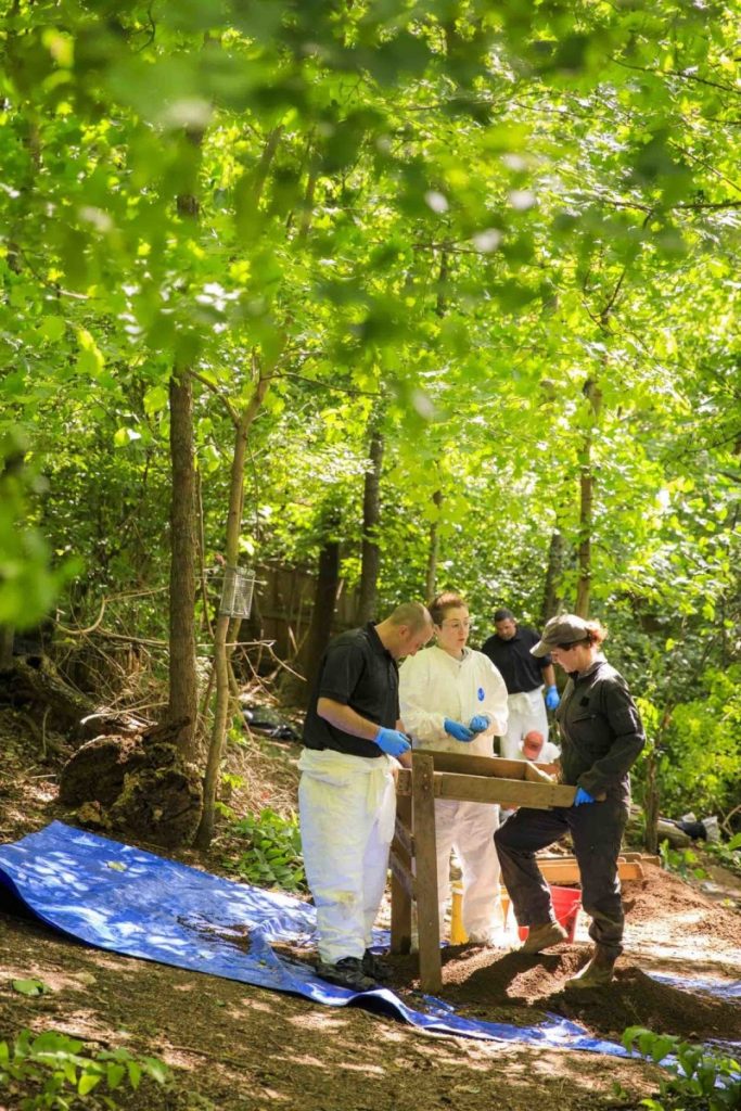 The Science of How Human Bodies Decay