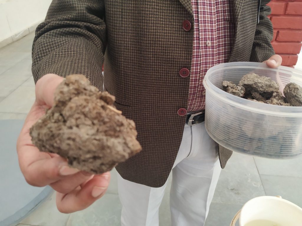 At a Museum for Toilets, Perspectives on Public Sanitation – The Wire ...