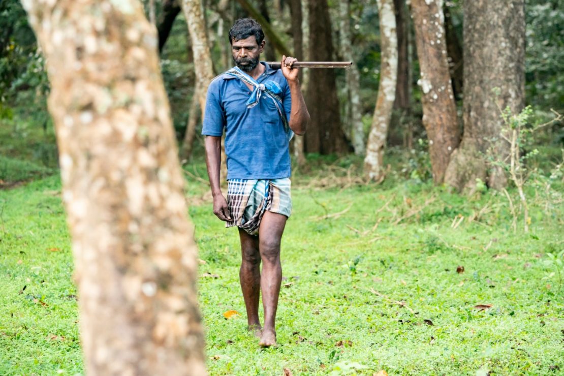 Just Conservation - Periyar Tiger Reserve.