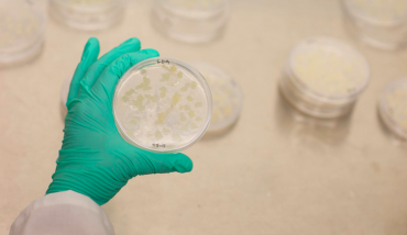 Capitalism Is Ruining Science – The Wire Science