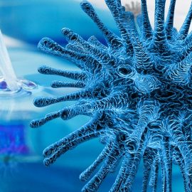 Host v. Parasite: How the Crow and the Koel Contend to Protect Their ...