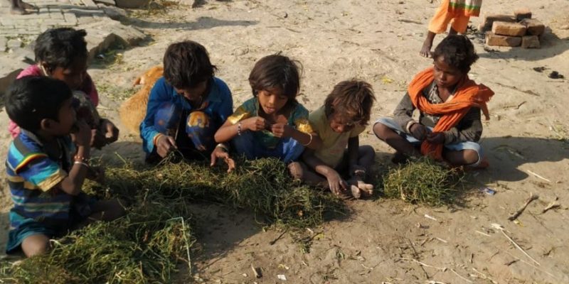 DM, Public Provide Food After Hungry Kids Seen Eating 'Grass' in Modi's ...