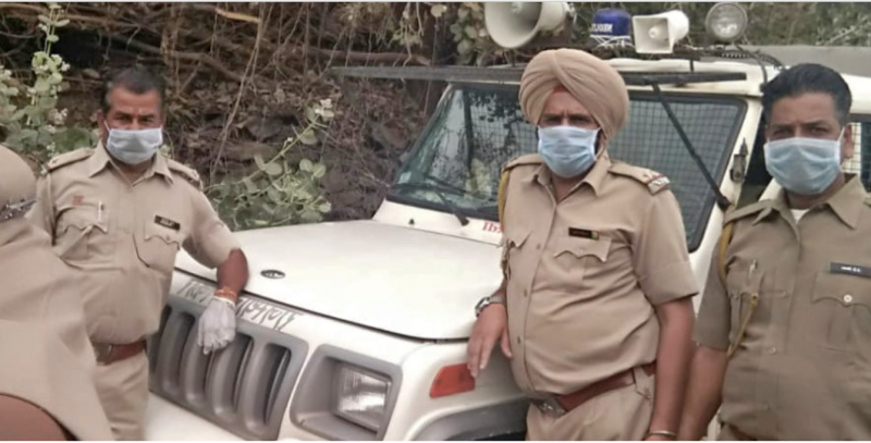 How Do Forest Officials Protect the Forests During the National ...