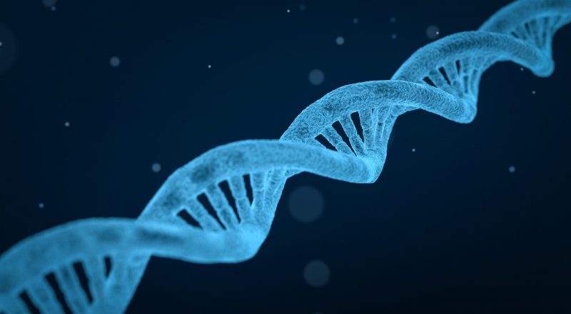 Revolutionary Techniques Using Environmental DNA Are Analysing Entire ...
