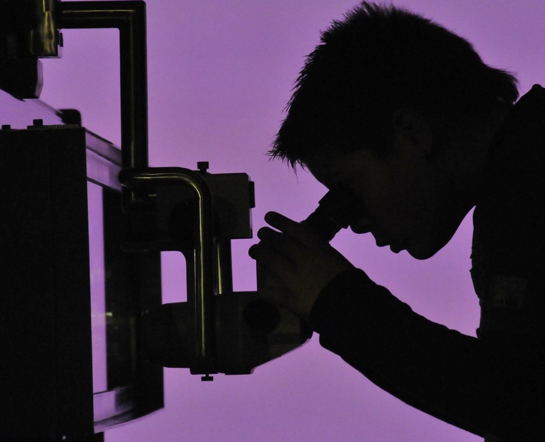 Anna Hatch and Stephen Curry – The Wire Science