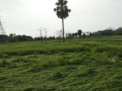 Study Predicted Rising Temperatures in Bihar – and We’re Already Seeing ...