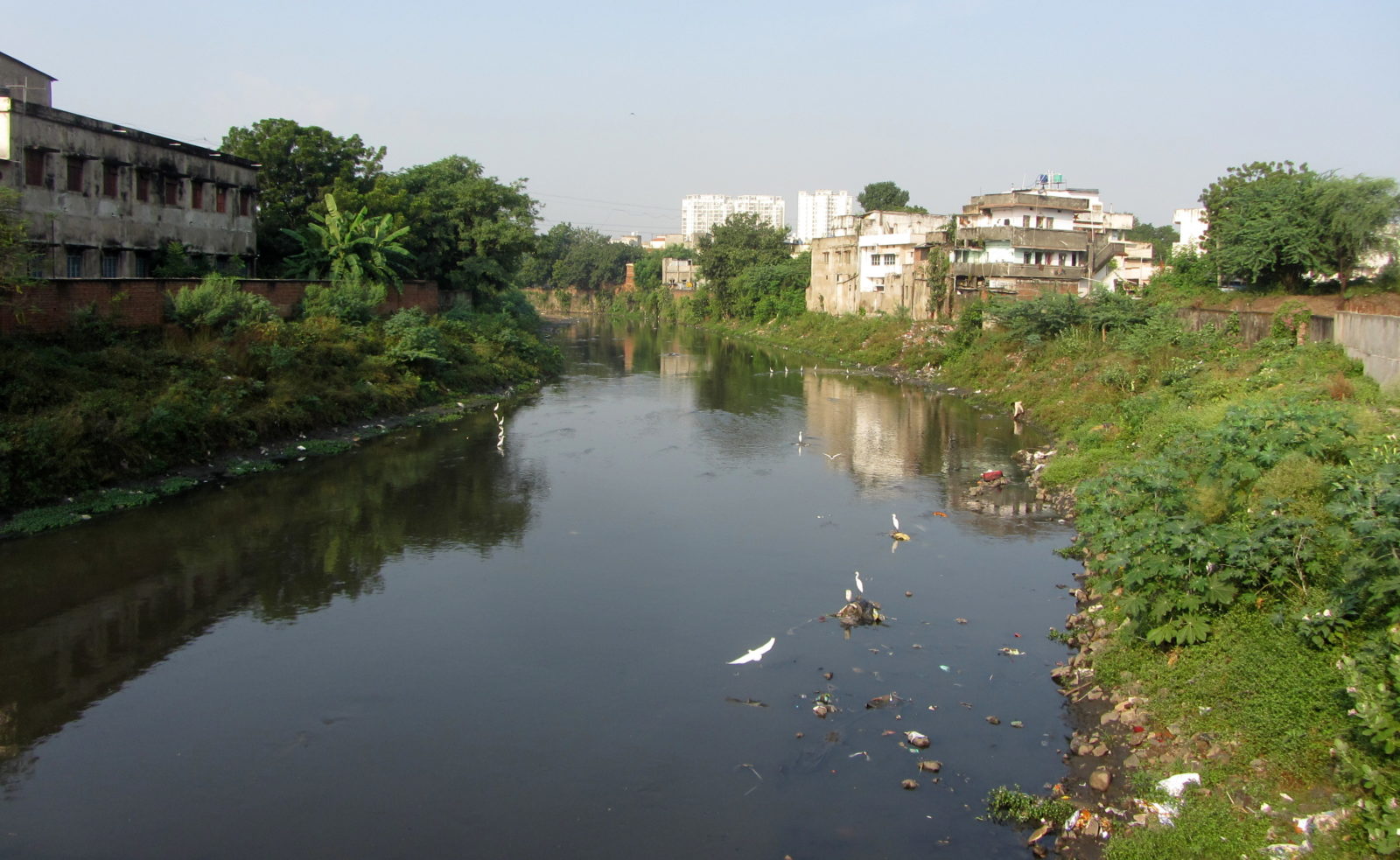 Can Cities Like Nagpur Continue to Be Lucky With Climate Change? – The ...