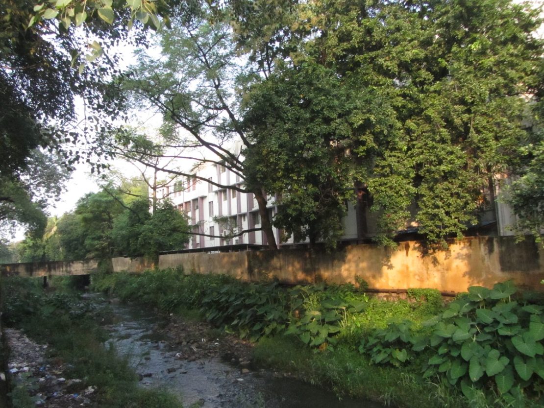 Is Nagpur Really a Smart City When It Comes to Water? – The Wire Science