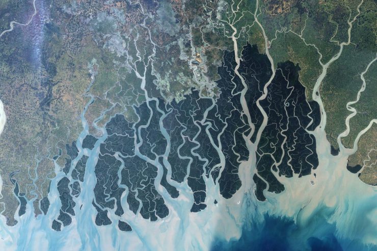 Amphan in the Sundarbans: How Mangroves Protect the Coast From Tropical ...