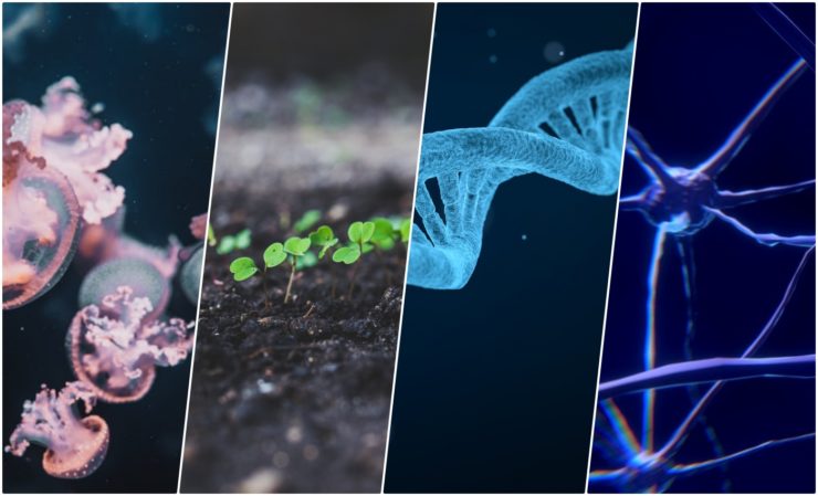 The Bioengineering Technologies to Look Out for in the Next Decade ...