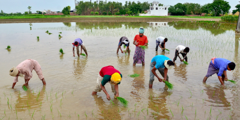 Four Ways that MGNREGA Can Be Expanded to Help India's Rural Economy
